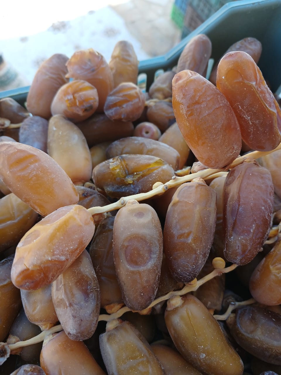 Présentation – South Fruits Market